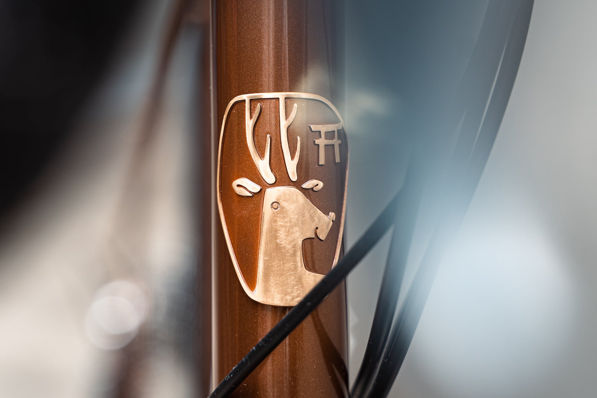 Sig. Randoに新たなモデルを追加します！ – Grumpy Bike Shop