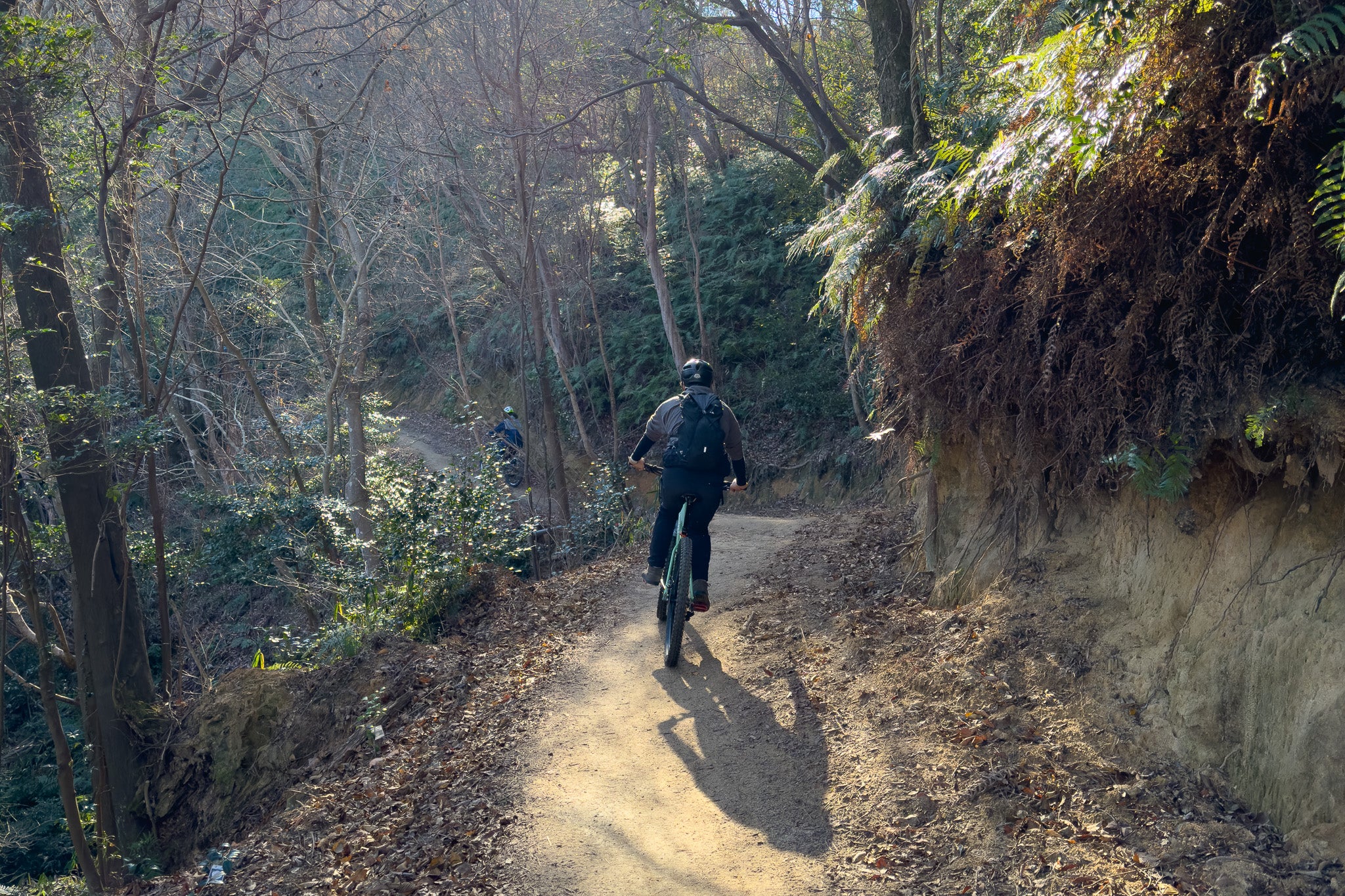 ちょうど良いシンプルさが魅力のハードテイルマウンテンバイク – Grumpy Bike Shop